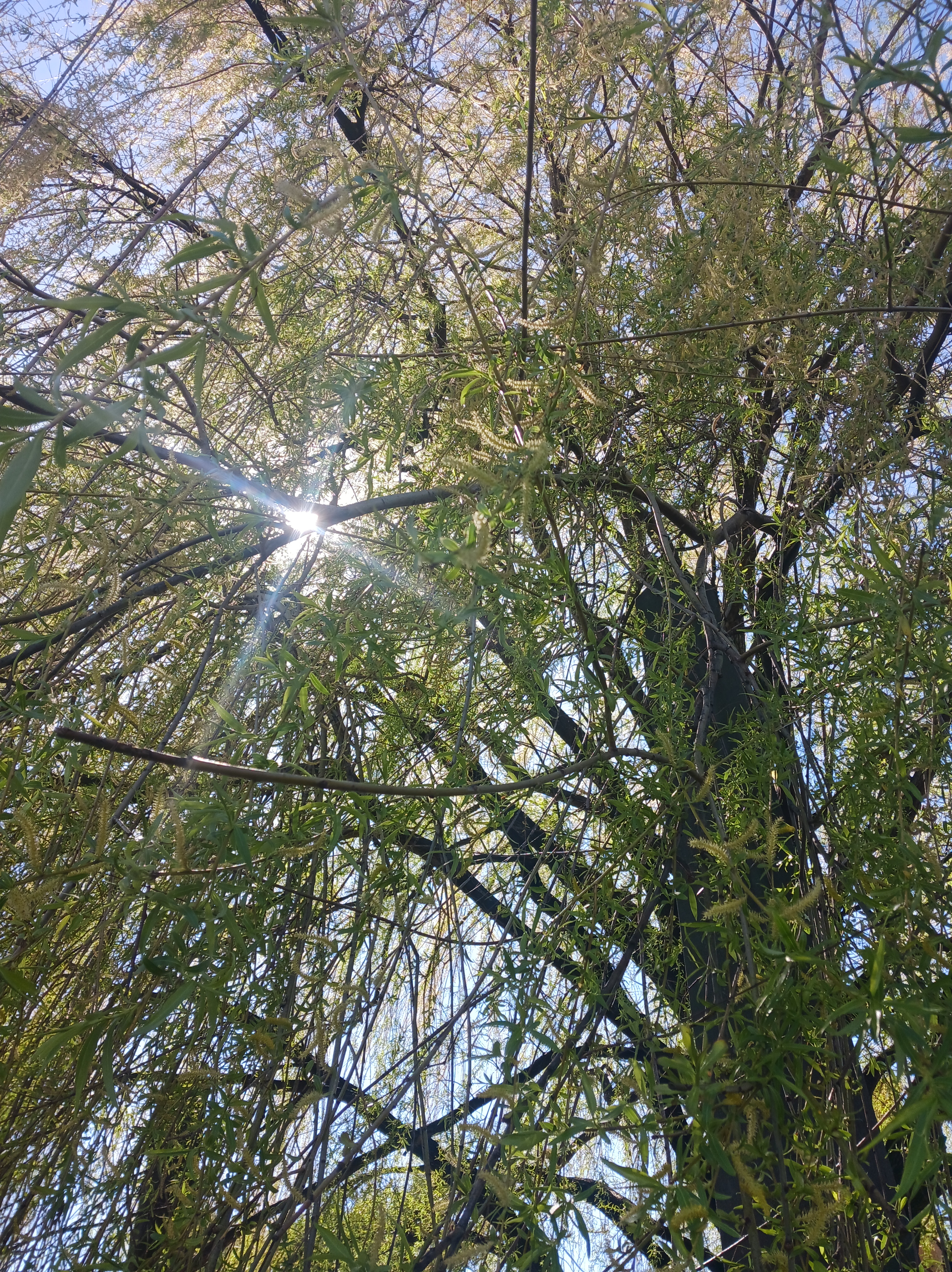 Poems – Aja Beech