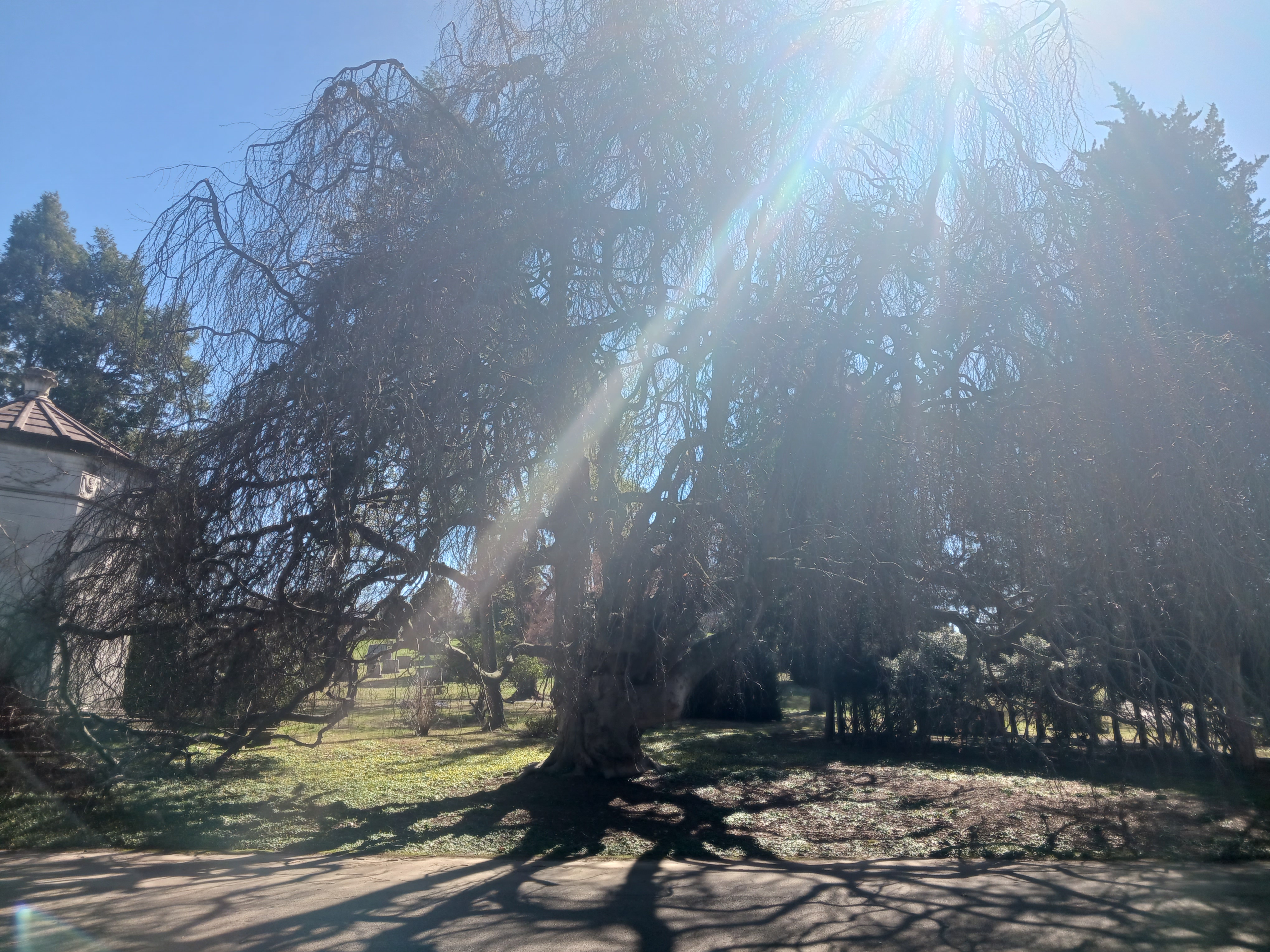 Poems – Aja Beech
